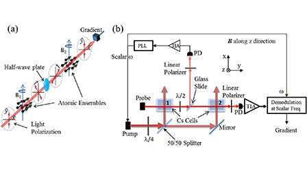 Portable intrinsic gradiometer for ultra-sensitive detection of ...