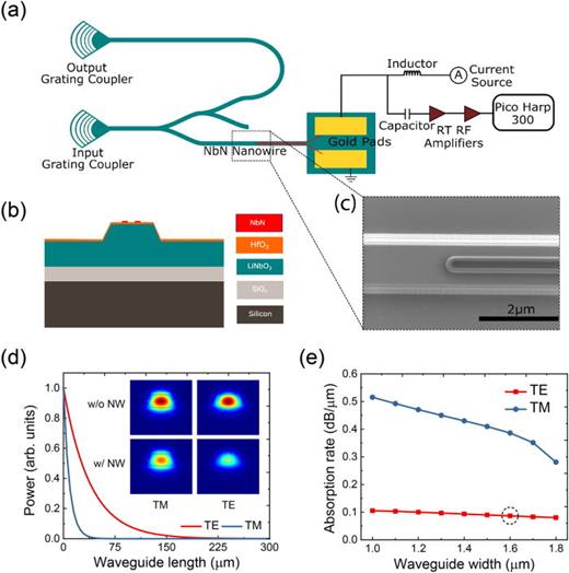 Lithium-niobate-on-insulator waveguide-integrated superconducting nanowire single-photon ...
