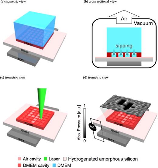 Field-programmable acoustic array for patterning micro-objects | Applied Physics Letters | AIP ...
