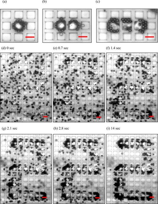 Field-programmable acoustic array for patterning micro-objects | Applied Physics Letters | AIP ...