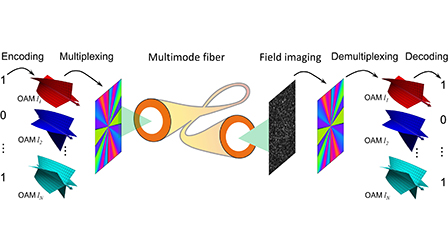 Light field imaging through a single multimode fiber for OAM ...