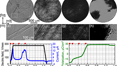 Dense ferroelectric-ferroelastic domain structures in rhombohedral PMN ...