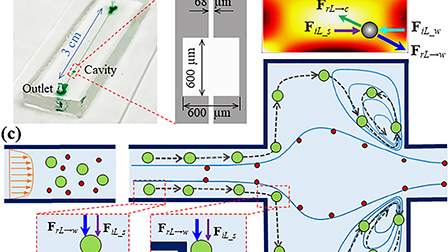Vortex trapping and separation of particles in shear thinning fluids ...
