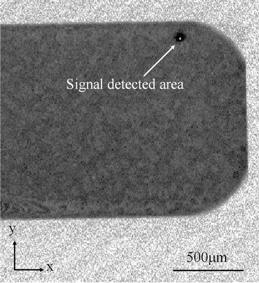 Direct observation of cross sectional local conductive paths in a ...