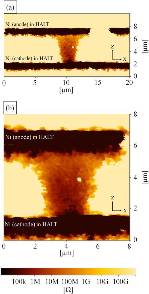 Direct observation of cross sectional local conductive paths in a ...