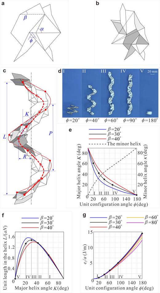Helical structures with switchable and hierarchical chirality | Applied ...