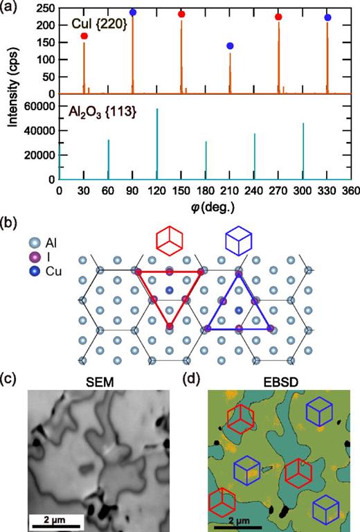 Molecular beam epitaxy of high-quality CuI thin films on a low ...
