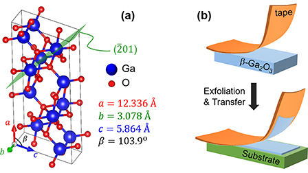 Thickness-dependent thermal conductivity of mechanically exfoliated β-Ga2O3 thin films | Applied ...