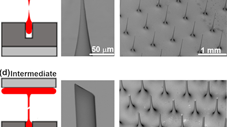 Solid and hollow metallic glass microneedles for transdermal drug ...