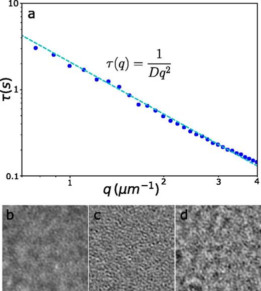 Isotope effects on the high pressure viscosity of liquid water measured ...