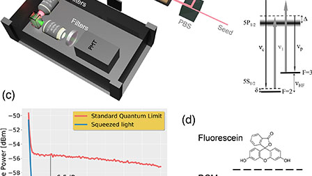 Squeezed light induced two-photon absorption fluorescence of ...
