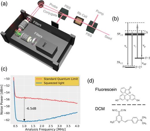 Squeezed light induced two-photon absorption fluorescence of ...