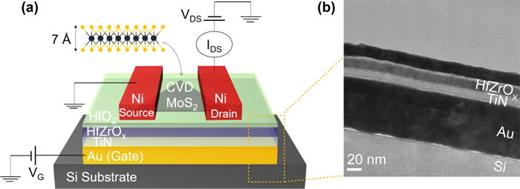 Ferroelectric memory field-effect transistors using CVD monolayer MoS2 ...