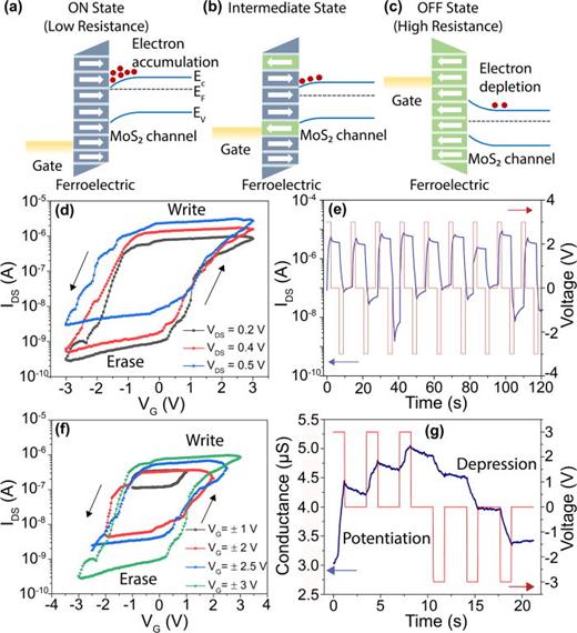 Ferroelectric memory field-effect transistors using CVD monolayer MoS2 ...