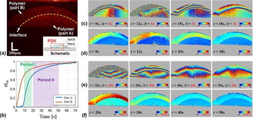 Visualizing curing process inside polymers | Applied Physics Letters | AIP Publishing