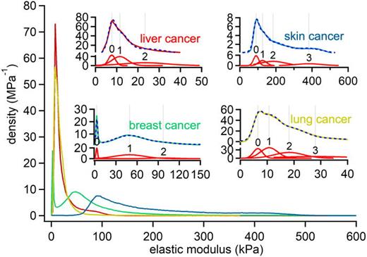 Reliability of cancer cell elasticity in force microscopy | Applied Physics Letters | AIP Publishing