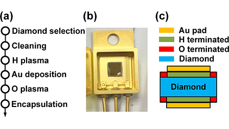 High performance hydrogen/oxygen terminated CVD single crystal diamond ...