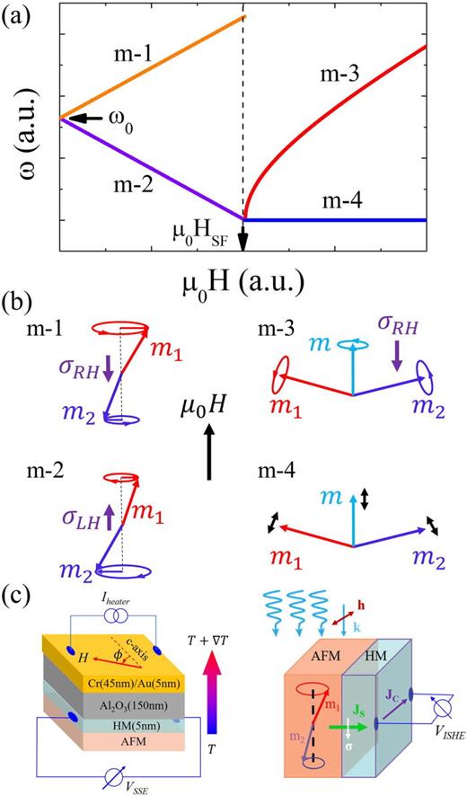 Spin current generation and detection in uniaxial antiferromagnetic ...