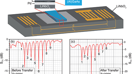 A hybrid (Al)GaAs-LiNbO3 surface acoustic wave resonator for cavity quantum dot optomechanics ...