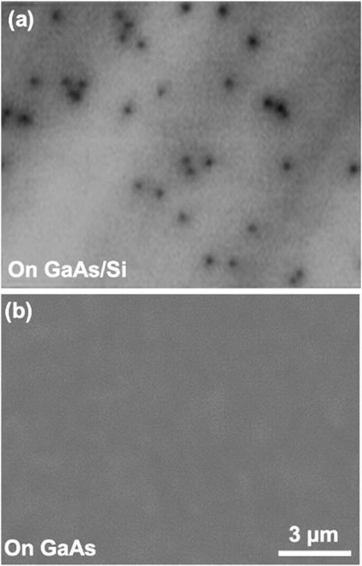 InP quantum dots for dislocation-tolerant, visible light emitters on Si ...