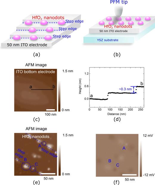 Ferroelectric properties of HfO2 nanodots with a diameter smaller than ...
