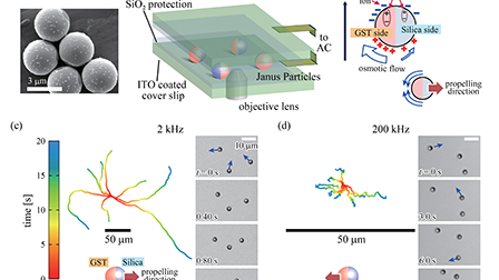 Phase-change Janus particles with switchable dual properties | Applied ...