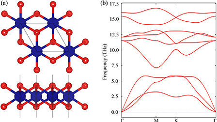 Tunable two dimensional ferromagnetic topological half-metal CrO2 by ...
