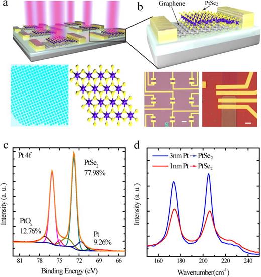 Scalable fabrication of long-wave infrared PtSe2-G heterostructure ...