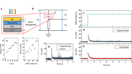 A perovskite retinomorphic sensor | Applied Physics Letters | AIP Publishing
