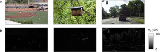 A perovskite retinomorphic sensor | Applied Physics Letters | AIP Publishing