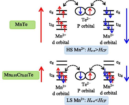 Magnon and spin transition contribution in heat capacity of ...