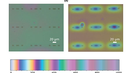 Purcell enhancement of a deterministically coupled quantum dot in an SU ...