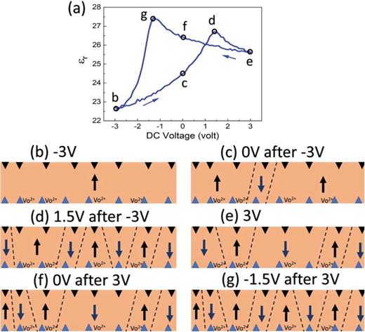 Non-volatile, small-signal capacitance in ferroelectric capacitors ...