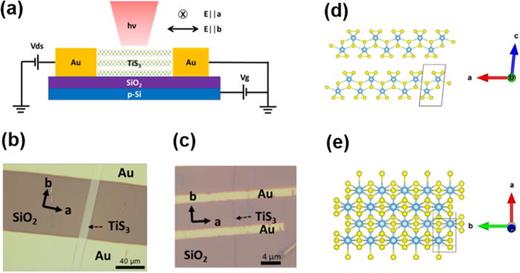 Anisotropic band structure of TiS3 nanoribbon revealed by polarized photocurrent spectroscopy ...
