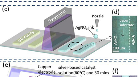 Signature of p-type semiconductor features in paper-based back gate ...