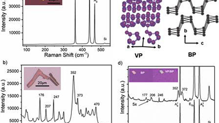 Violet phosphorus surface chemical degradation in comparison to black ...