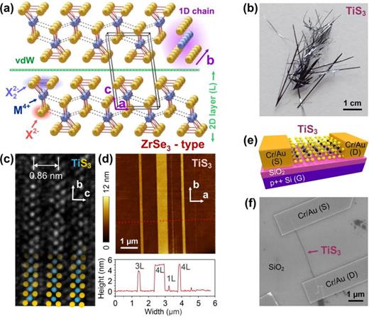 Collective states and charge density waves in the group IV transition ...