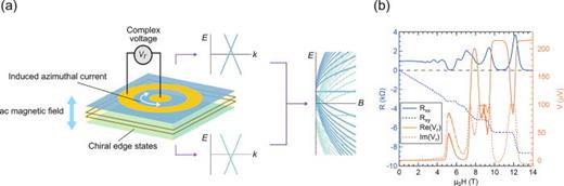 Quantum Hall effect of the topological insulator state of cadmium ...