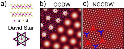 Observation of a topological defect lattice in the charge density wave ...