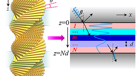 Impact wave dispersion characteristics in Bouligand-type structures ...