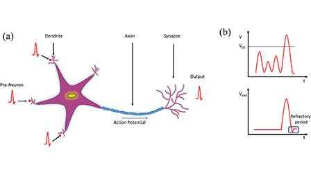 High-speed Si films based threshold switching device and its artificial ...