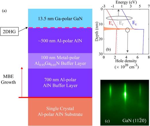Polarization-induced 2D hole gases in pseudomorphic undoped GaN/AlN ...