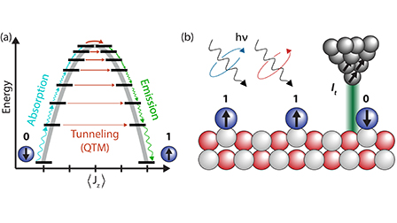 A perspective on surface-adsorbed single atom magnets as atomic-scale magnetic memory | Applied ...