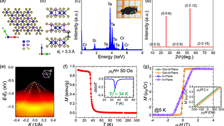 Probing the atomic-scale ferromagnetism in van der Waals magnet CrSiTe3 ...