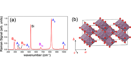 Helicity-selective Raman scattering from in-plane anisotropic α-MoO3 ...