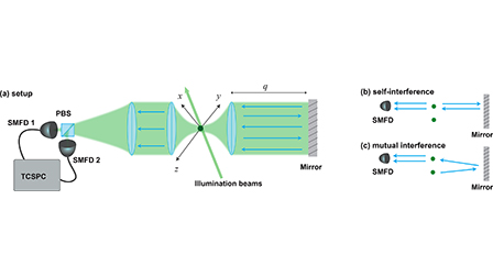 Motion analysis of a trapped ion chain by single photon self-interference | Applied Physics ...