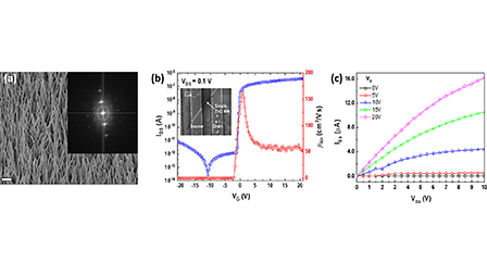 Flexible memory device based on polymer ferroelectric with zinc oxide ...