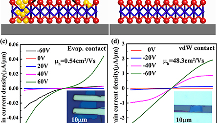 WSe2/Pd Schottky diode combining van der Waals integrated and ...
