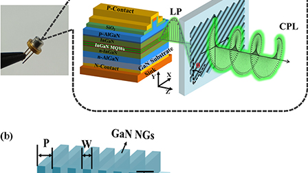 High-efficiency circularly polarized green light emission from GaN ...