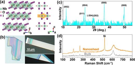 Photoactive electrically switchable van der Waals semiconductor NbOI2 ...